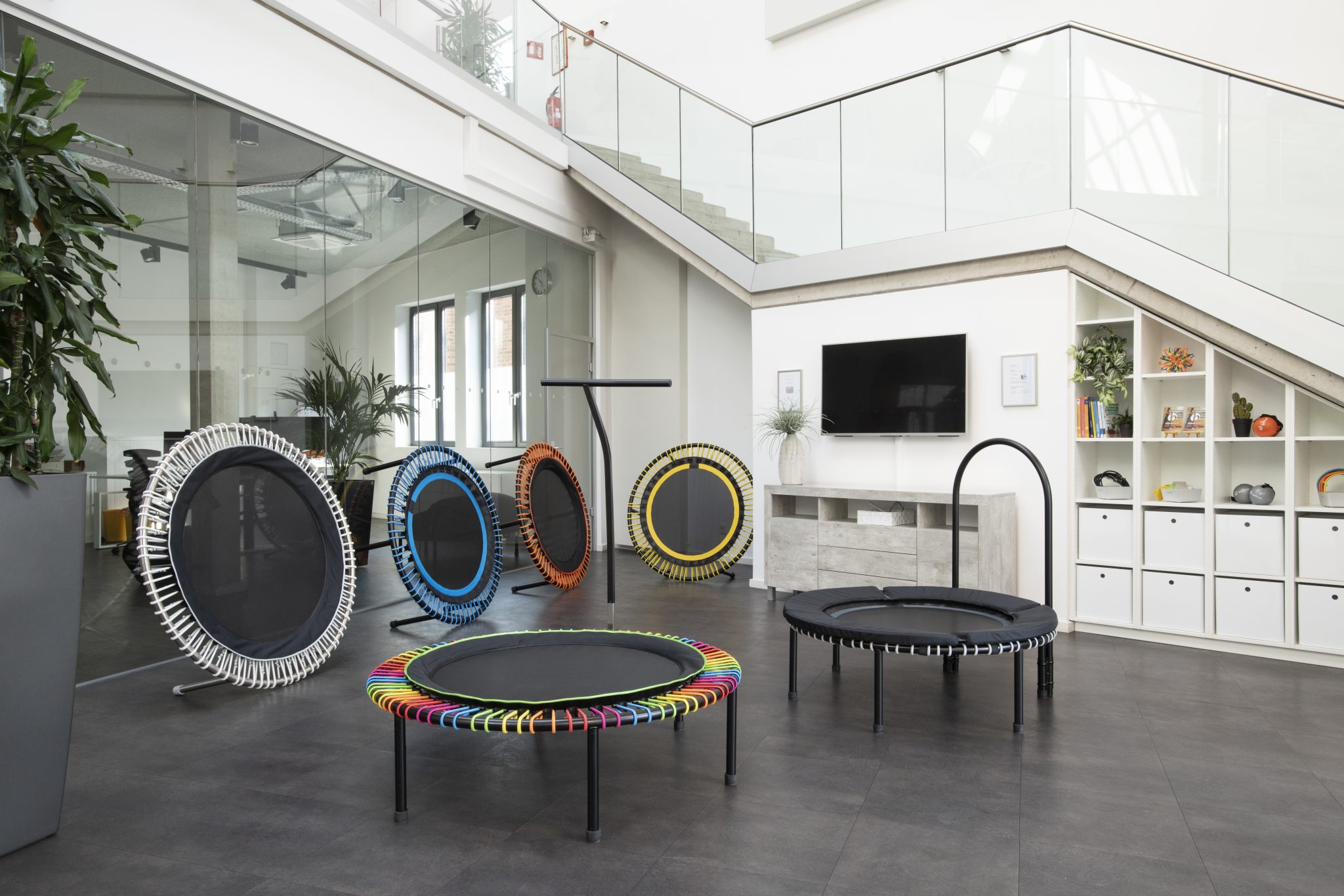 Need a New Mini Trampoline? Here's Where to Buy a Bellicon Rebounder ...